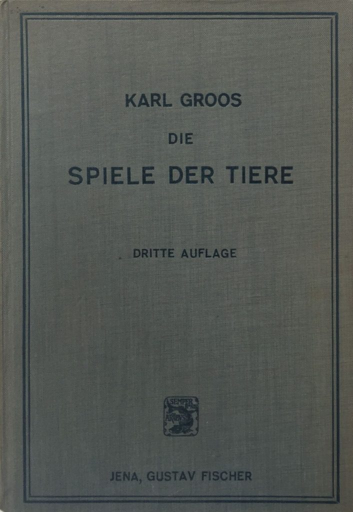 Spielen? Was ist das? Warum spielen Menschen? Ein Vorschlag.